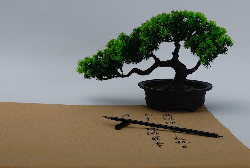 3 Classical Chinese Poems You Must Know To Learn Mandarin